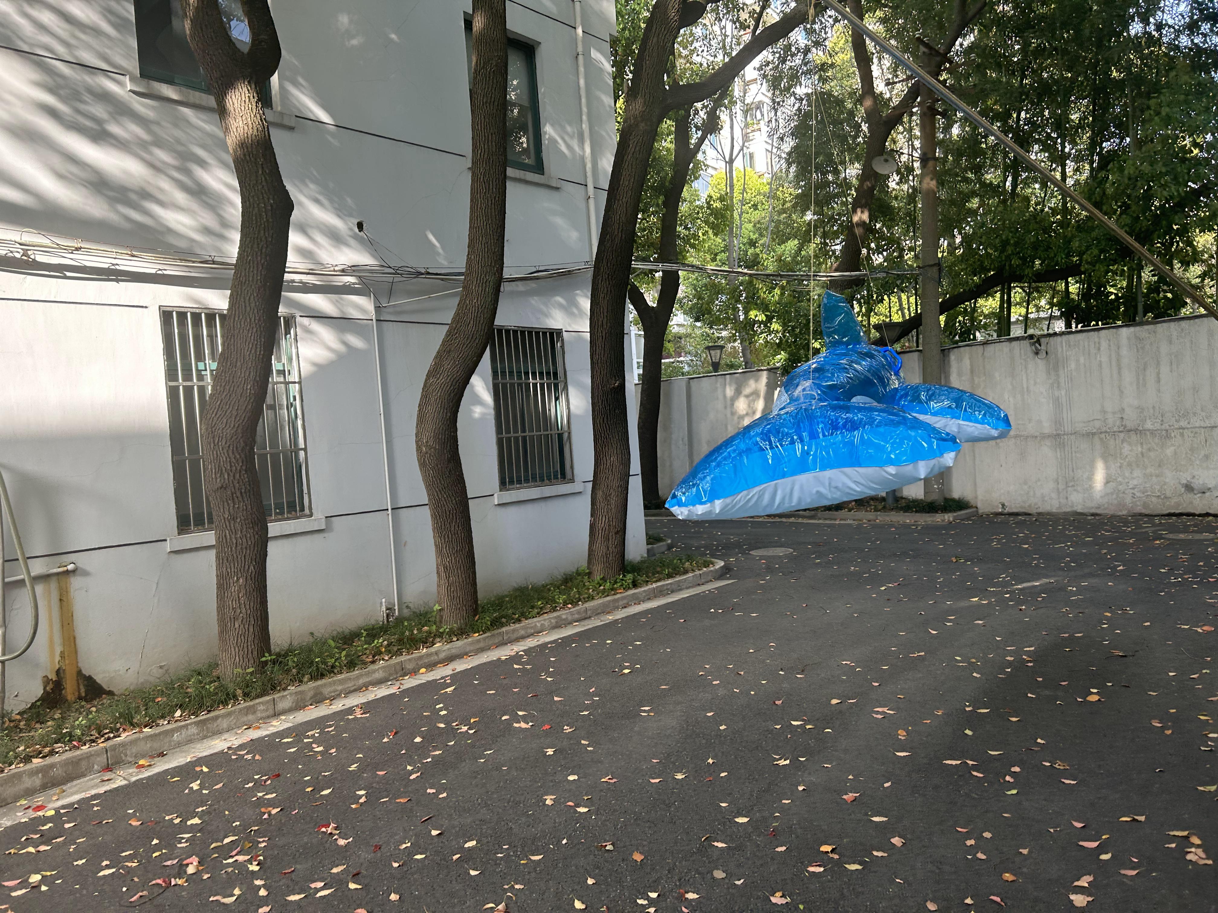 Dolphin_Like_Real Object Detection Model by Boatrecognize