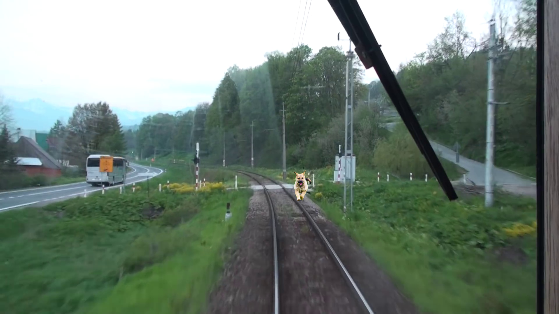 Railway Detect Object Detection Model by SouthWest JiaoTong University