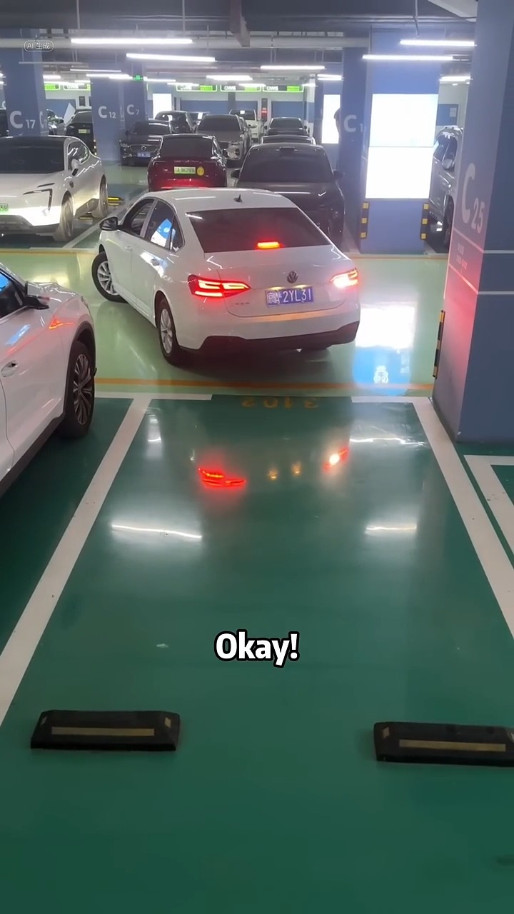 Carparking Detection Object Detection Dataset By Subhan Zaheer