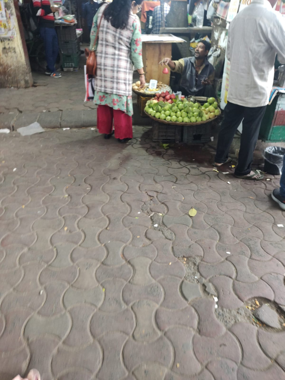 detection of footpath Instance Segmentation Dataset by footpath detection