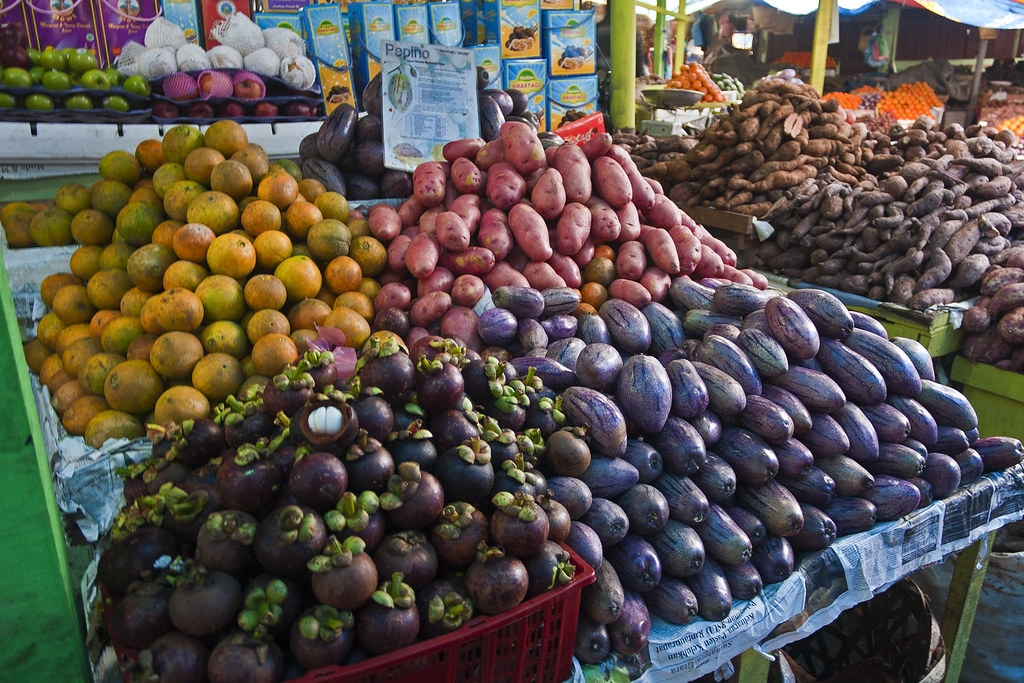 MYSA (mysa-sbsdv) - Roboflow Universe