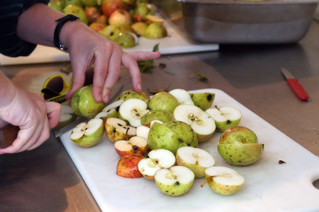 Apples Object Detection Dataset by Small Scale Experiments