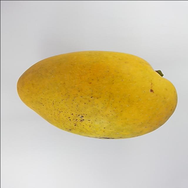 mango Object Detection Model by mango1