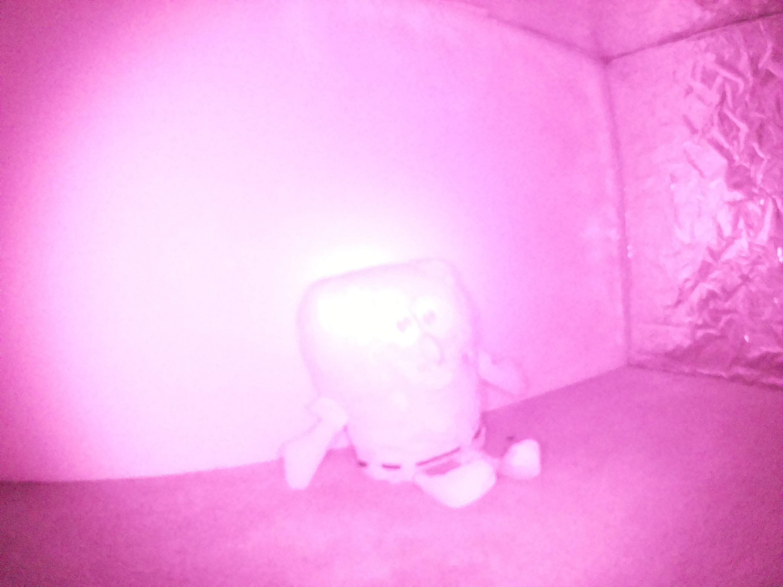 Train Yolov7 Object Detection Model by Final Project