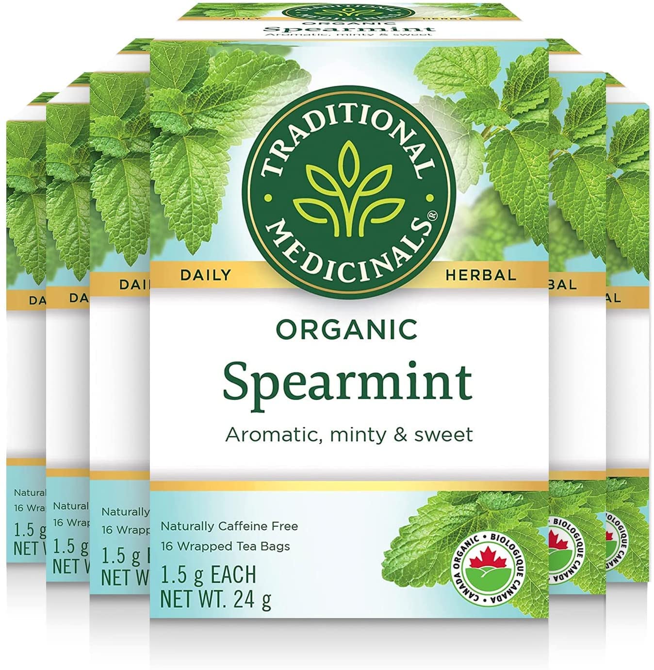 Text Classification Object Detection Dataset and Pre-Trained Model by tomvercetti