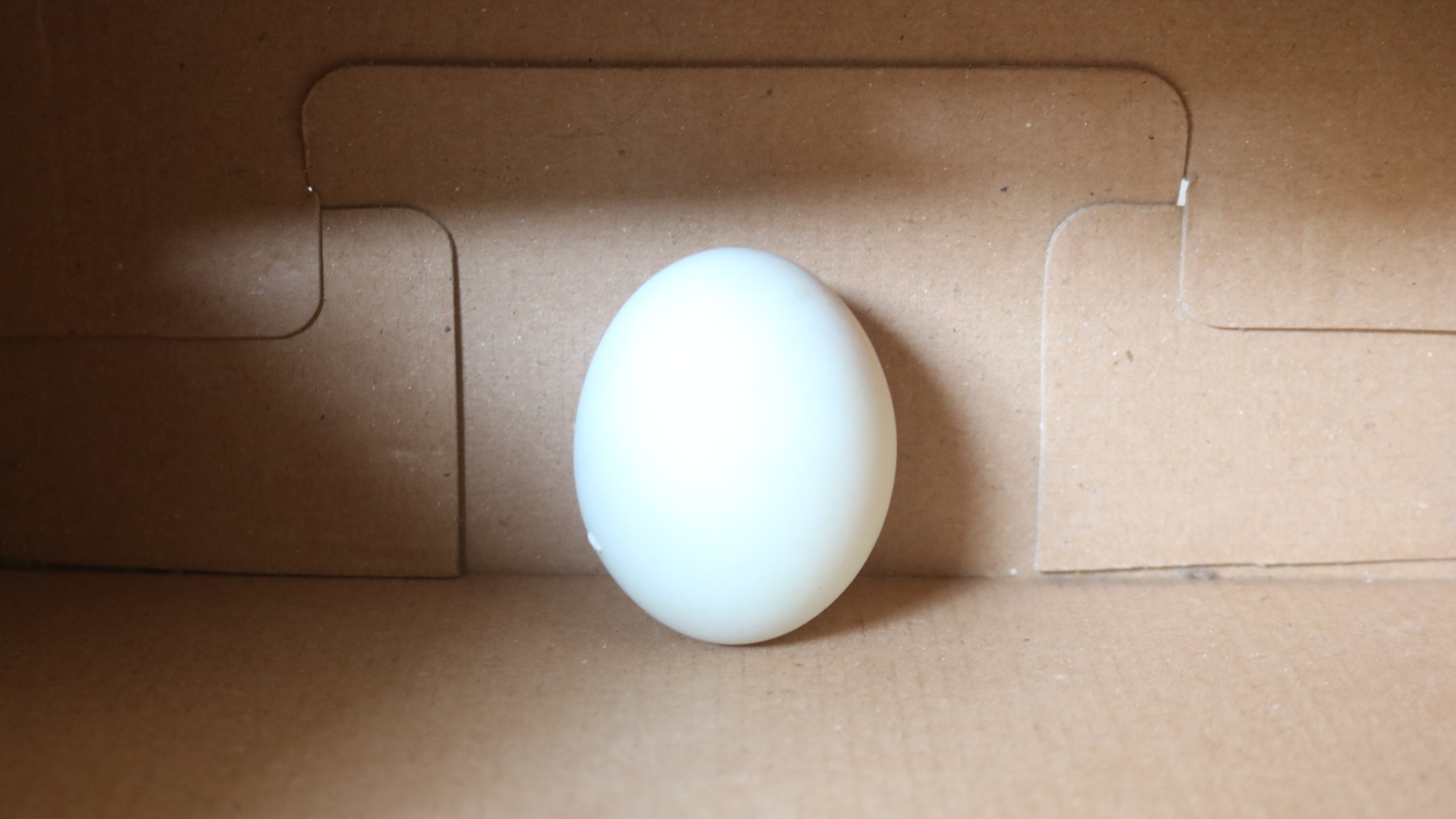 Telur Object Detection Dataset And Pre Trained Model By Agg Detection