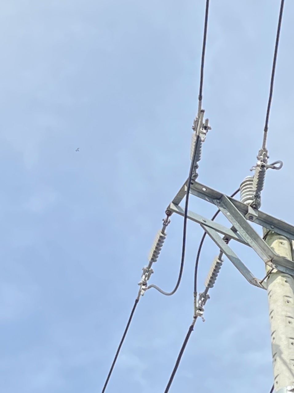 kdre_tt Object Detection Dataset by KrongPa