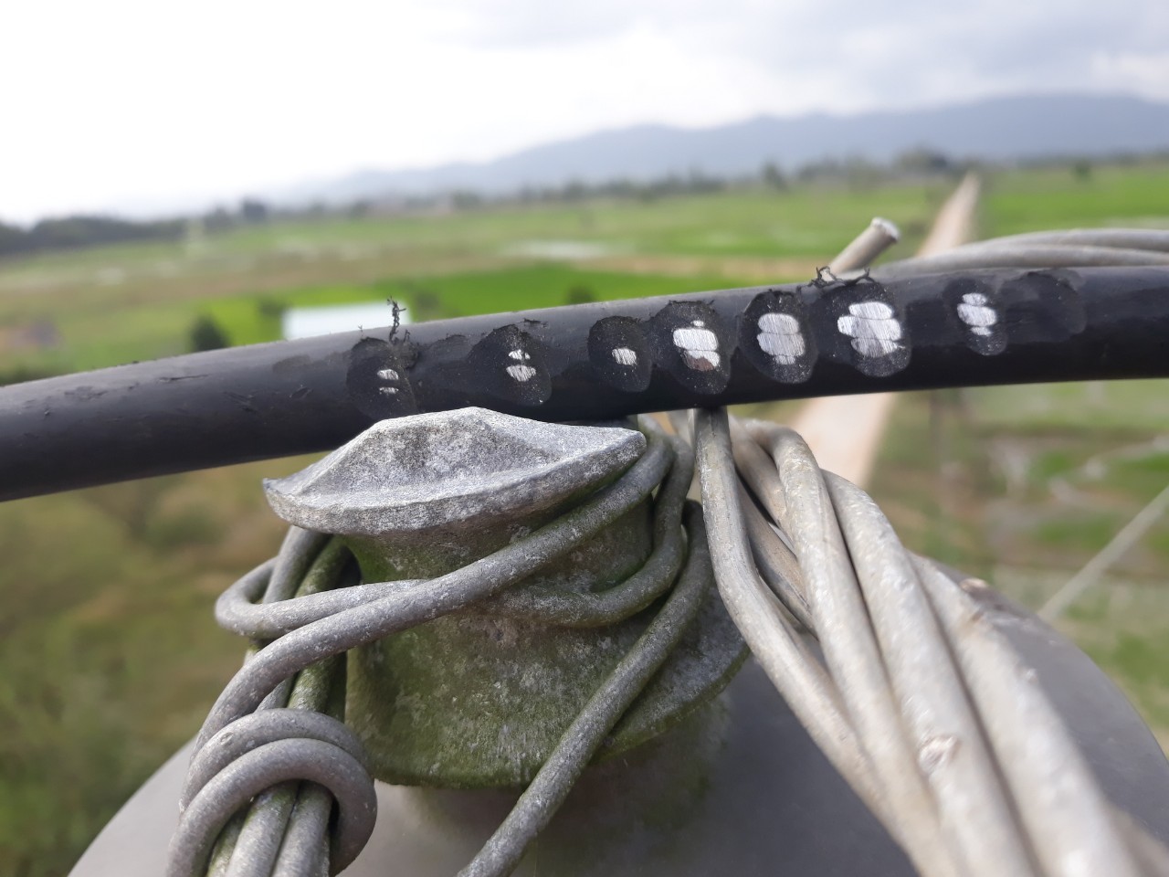 ddan_tt_mon Object Detection Dataset by KrongPa