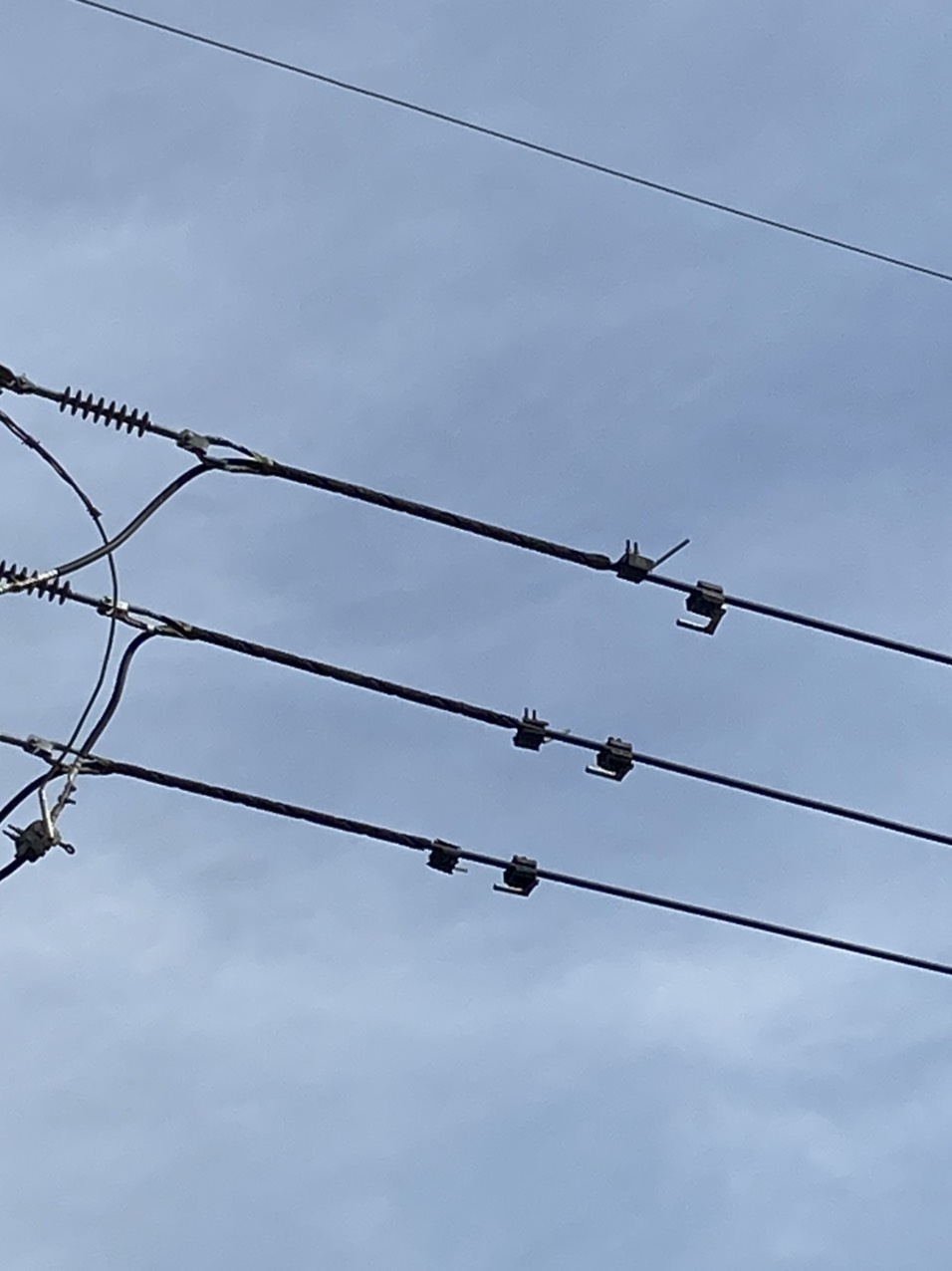 krang_tt Object Detection Dataset by KrongPa