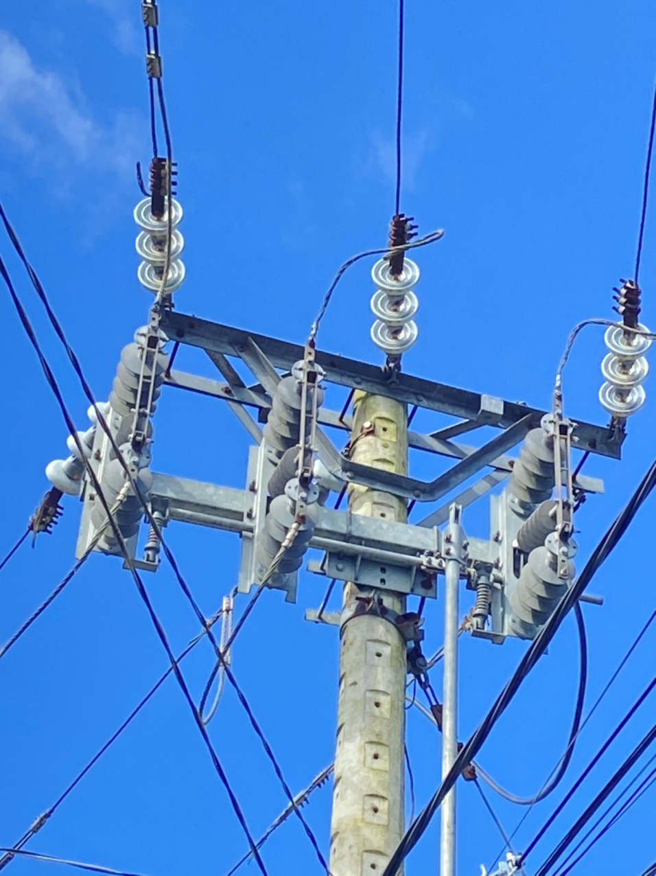 dcl_tt Object Detection Dataset by KrongPa