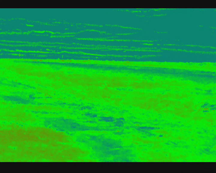 Colored people in forest throught a termal imager Object Detection Model by Main