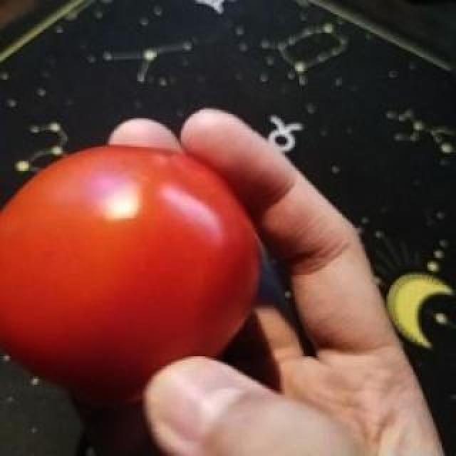 Food Products - Val Set Object Detection Dataset by project4