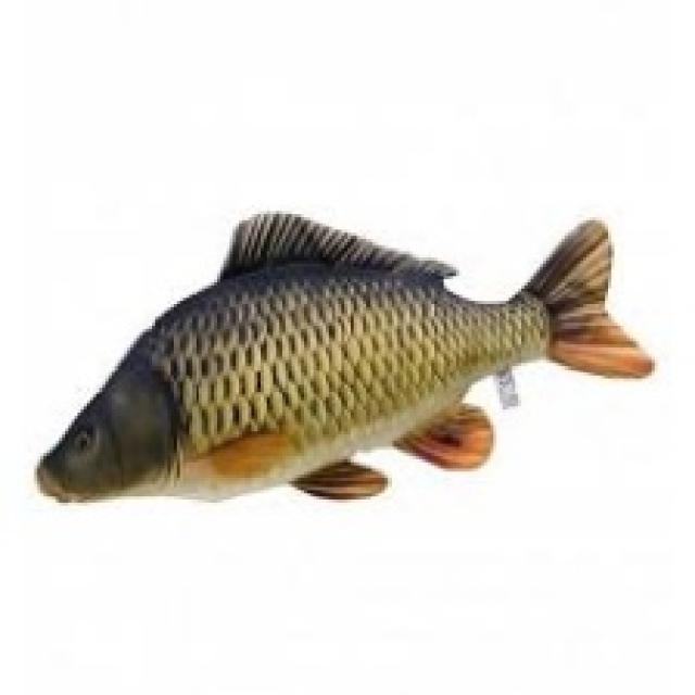 fish diease Object Detection Dataset by YOGESHKANNAH K