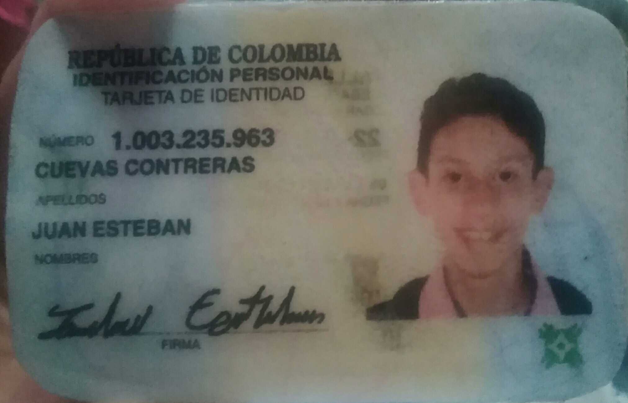 Detector Instance Segmentation Model by Juan Pablo Pestana