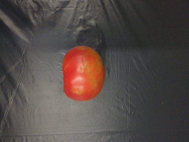 tomato Instance Segmentation Model by manh