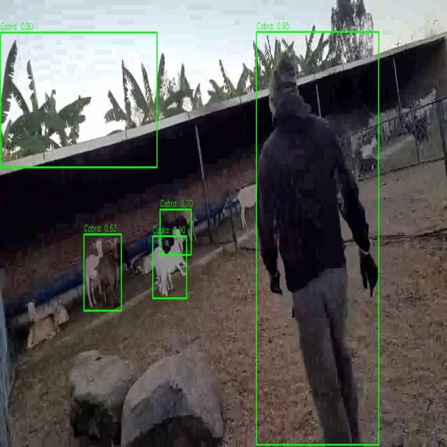 WildSense 2 Object Detection Dataset by WildSense