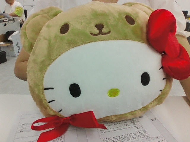 sanrio Object Detection Dataset by you