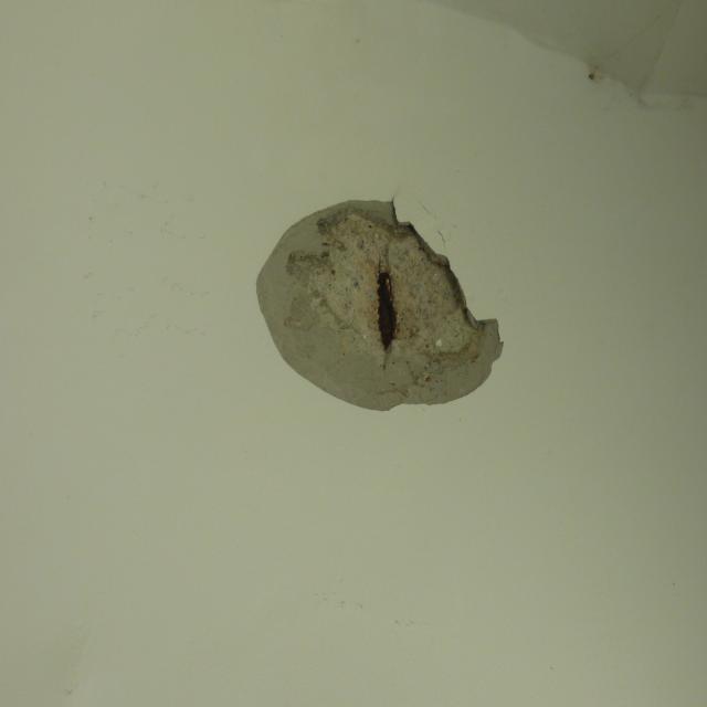 YoloV5-Wall Object Detection Dataset by SCIpublic