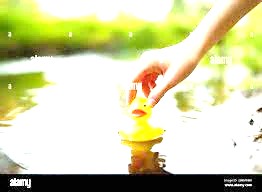 Rubber Duck Detection Object Detection Dataset by University of Liverpool
