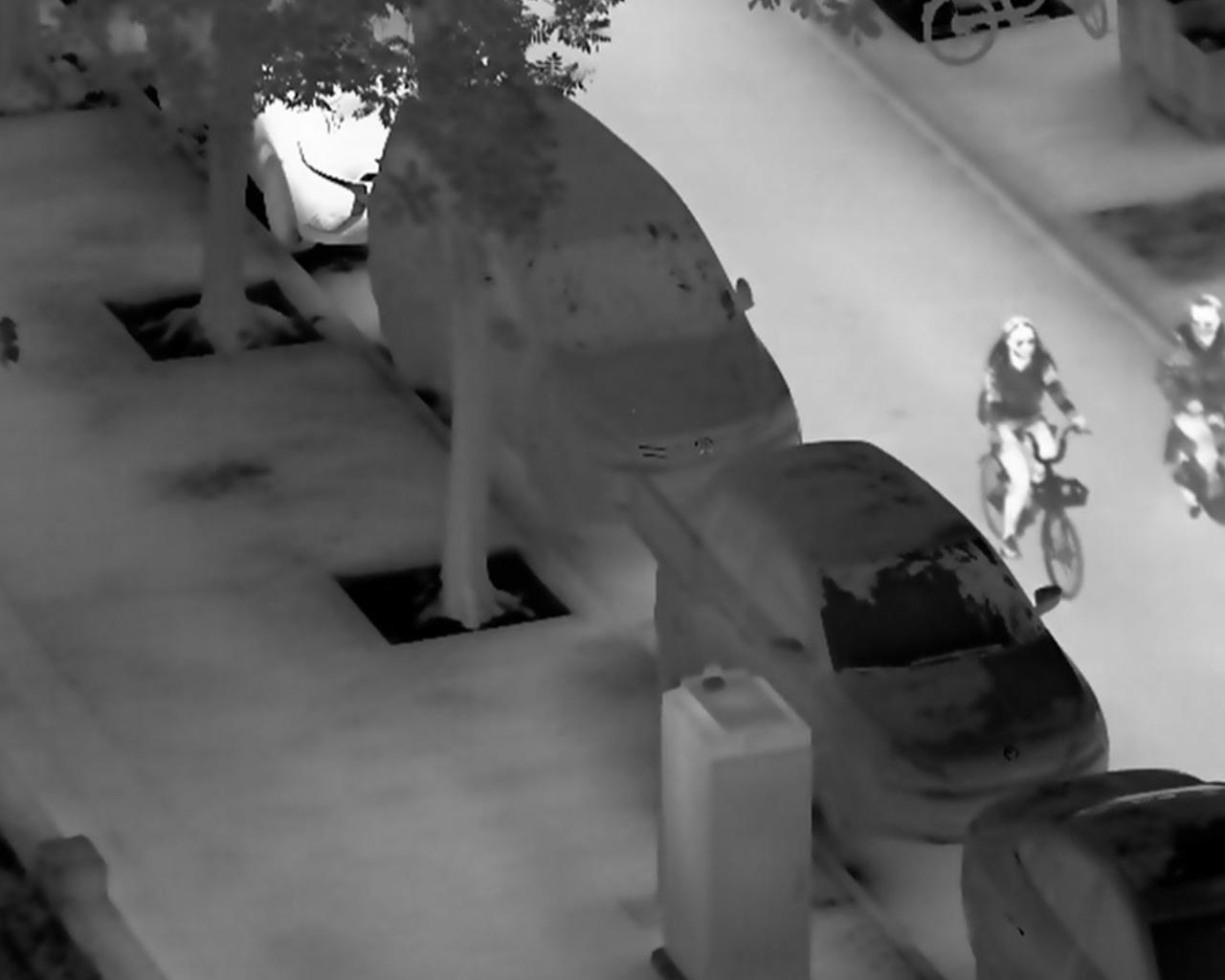 ss (ss-psmyy) - Roboflow Universe