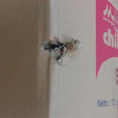 Corrugated Box Defect Object Detection Model by project-xexcp