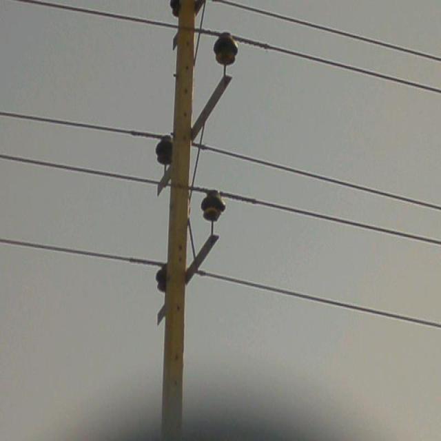 insulators Object Detection Dataset and Pre-Trained Model by project-qnqmr