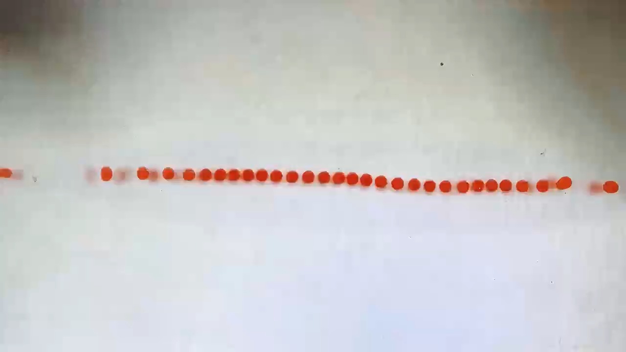 Dropt Object Detection Dataset By Droplet Annotation