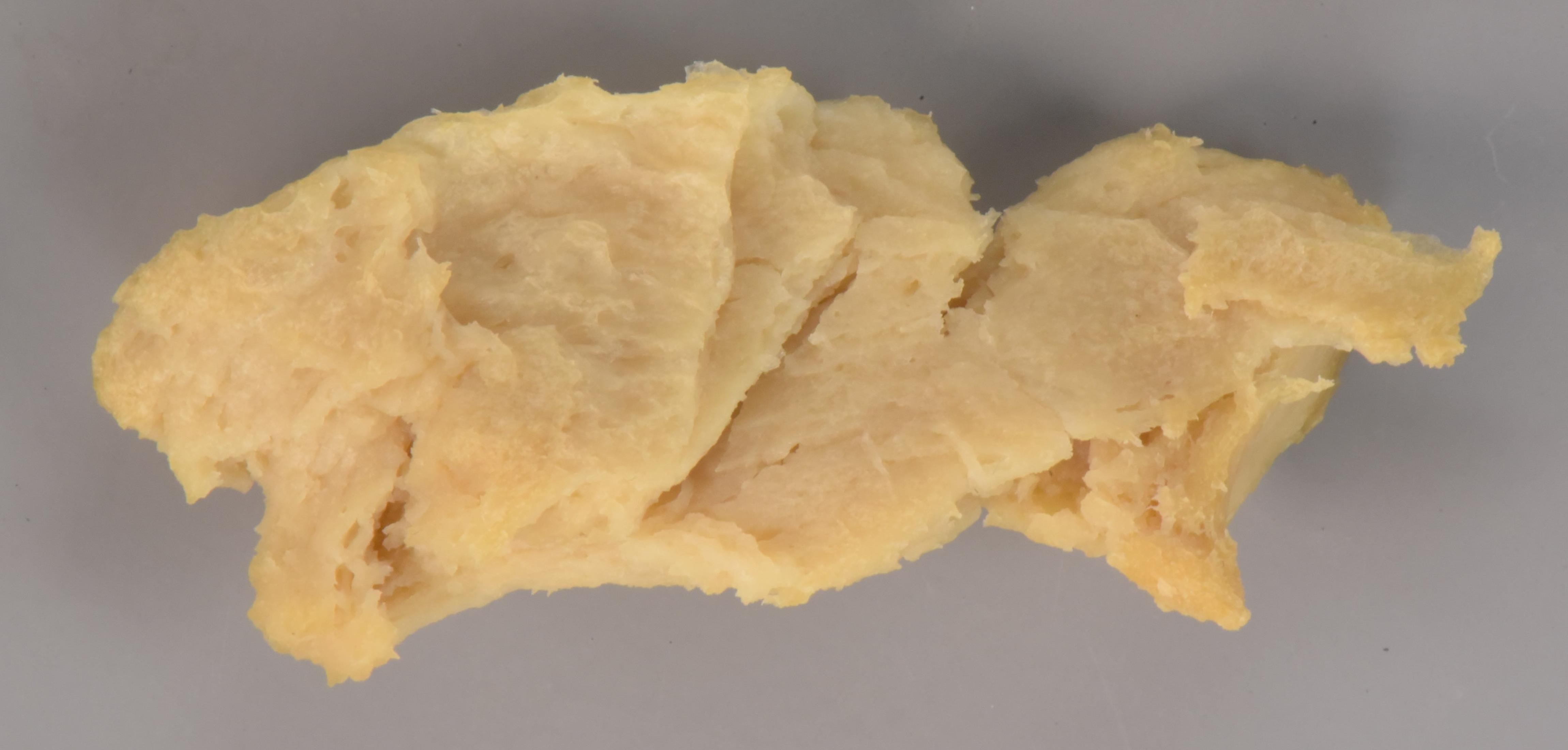 Grain Analysis Instance Segmentation Dataset By Grainquality