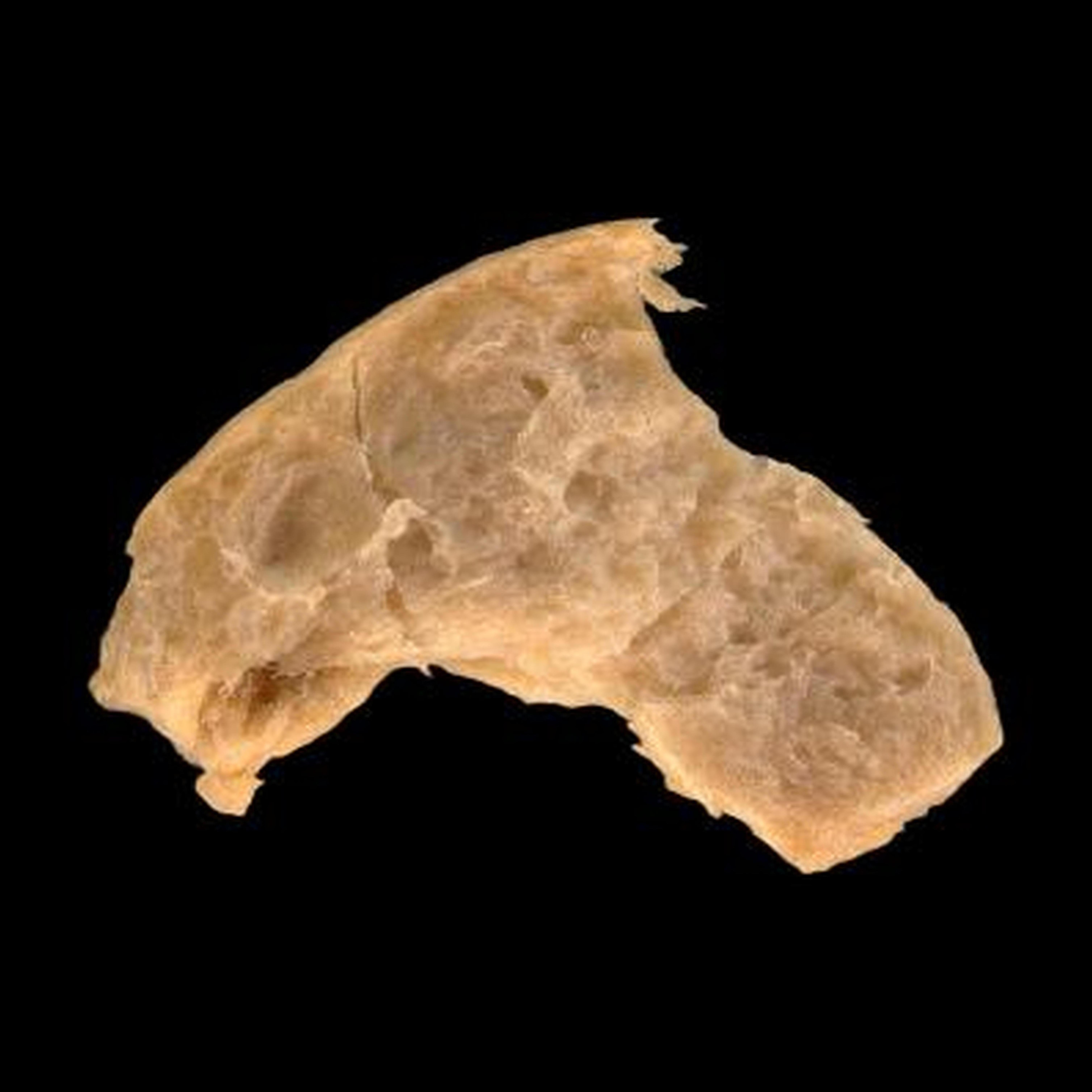 PlantBasedMeat_segmentation Instance Segmentation Dataset by GrainQuality