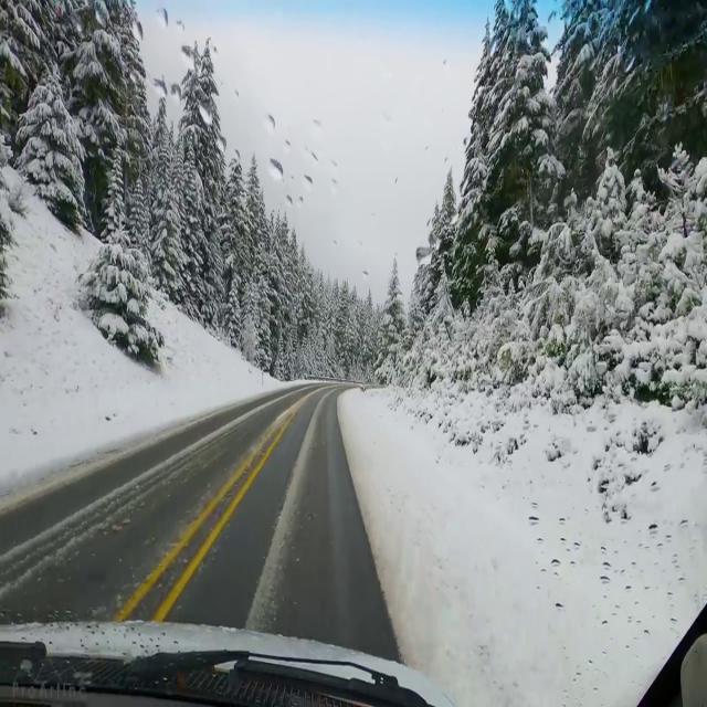 road-condition-all Object Detection Dataset by project-ymc9h