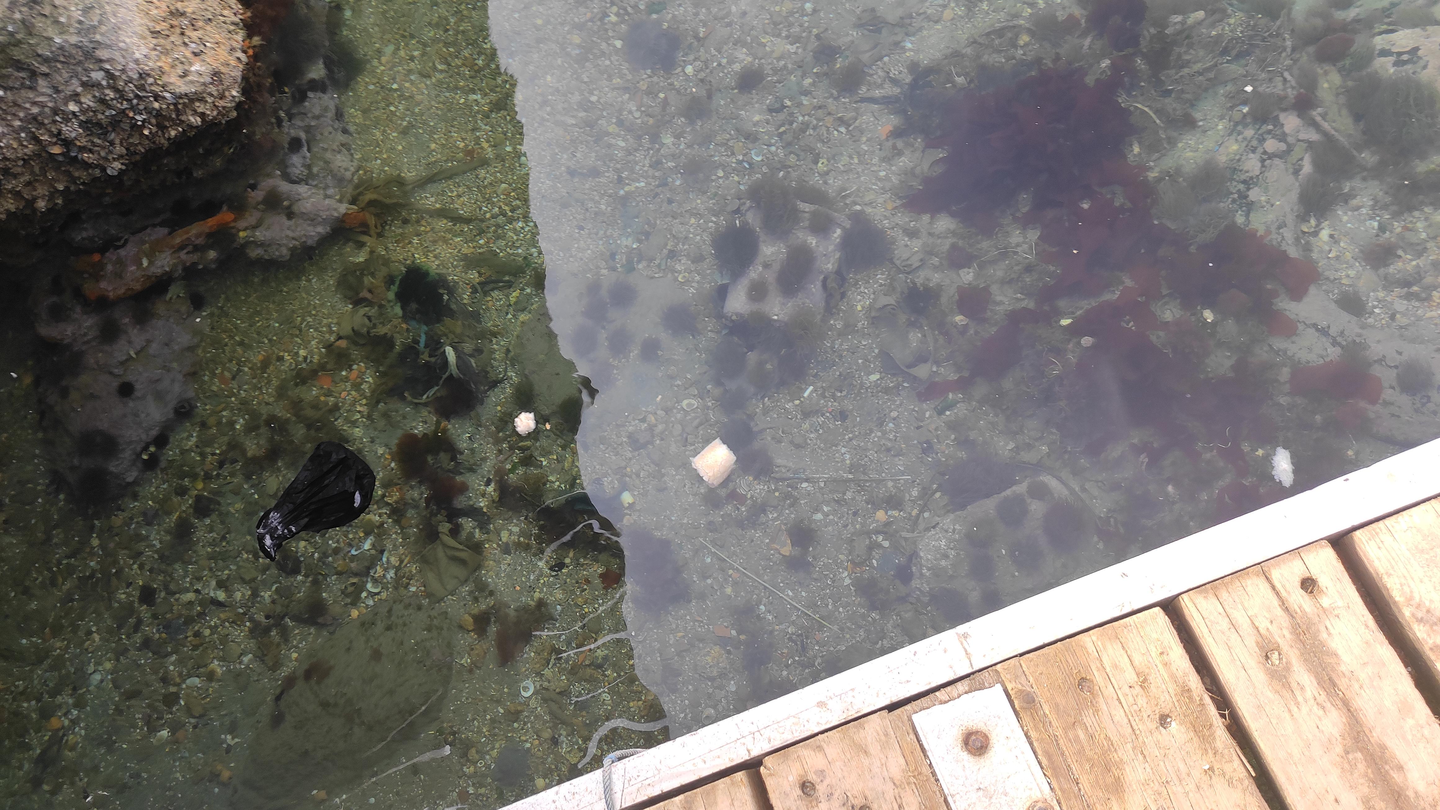 Oil-trash-detection Instance Segmentation Dataset by tuto