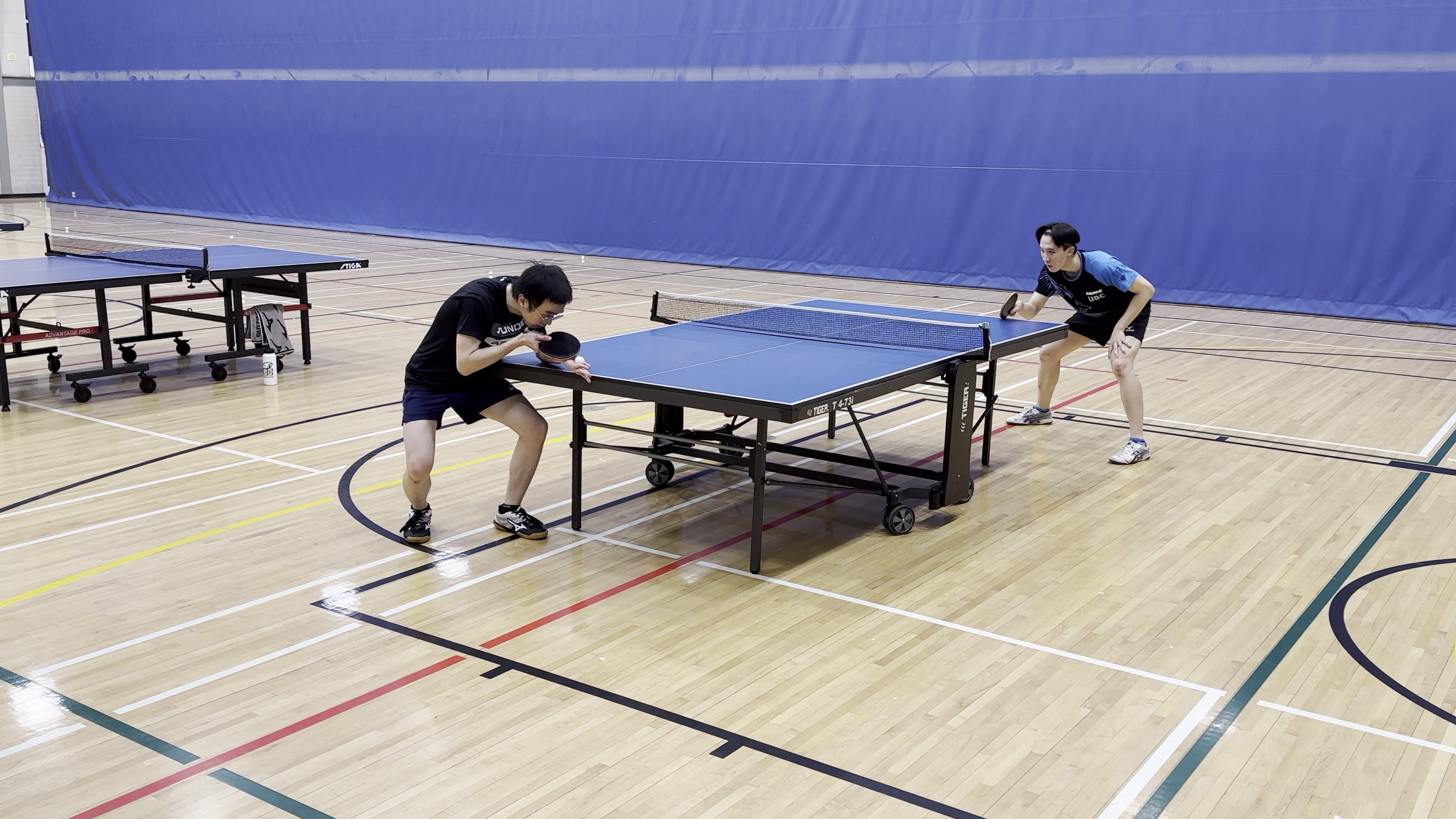 Ball Detection Object Detection Dataset and Pre-Trained Model by CPSC 440