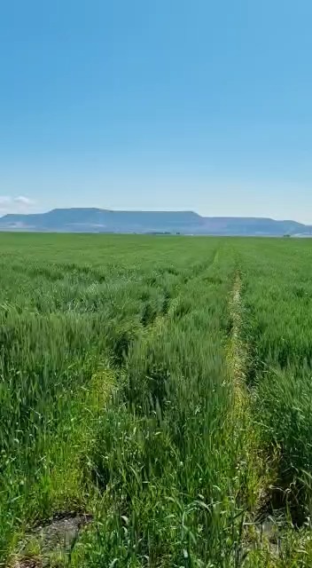 Drone Object Detection Dataset And Pre Trained Model By Ksu