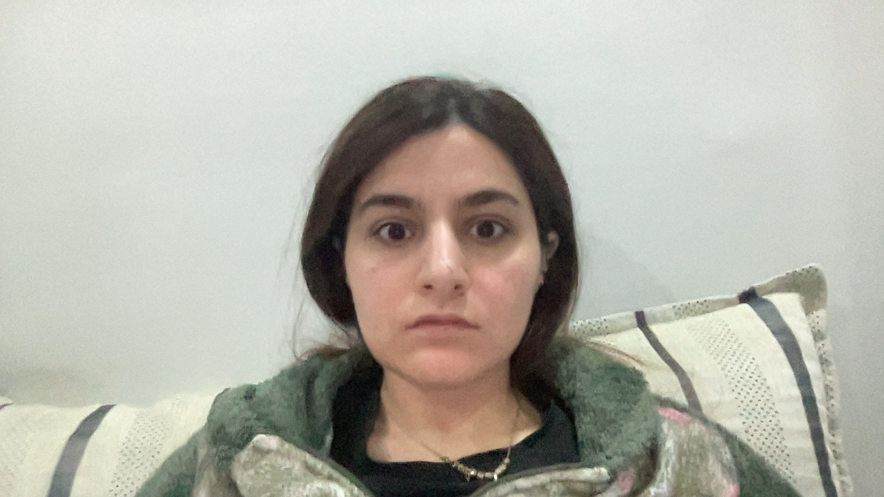 Yolov5 Model Object Detection Dataset By Yolov5