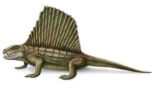 Dinosaur Detector Classification Model by BonusProject