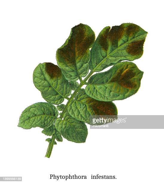 object_detection_v2 Object Detection Model by abc