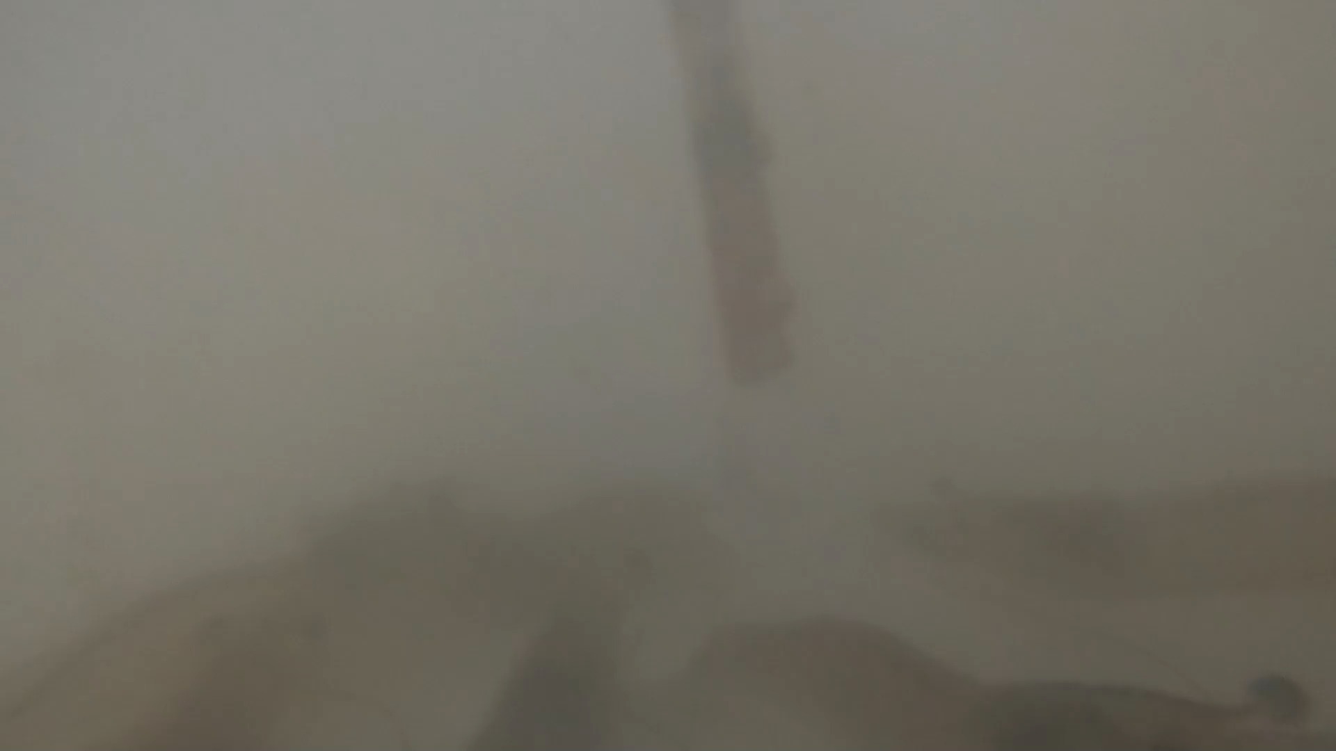 Prawn And Wssv Data Object Detection Dataset By Prawn Detection