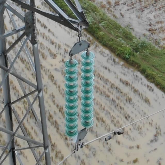 Detector de fallas en aisladores Object Detection Dataset and Pre-Trained Model by broken insulators