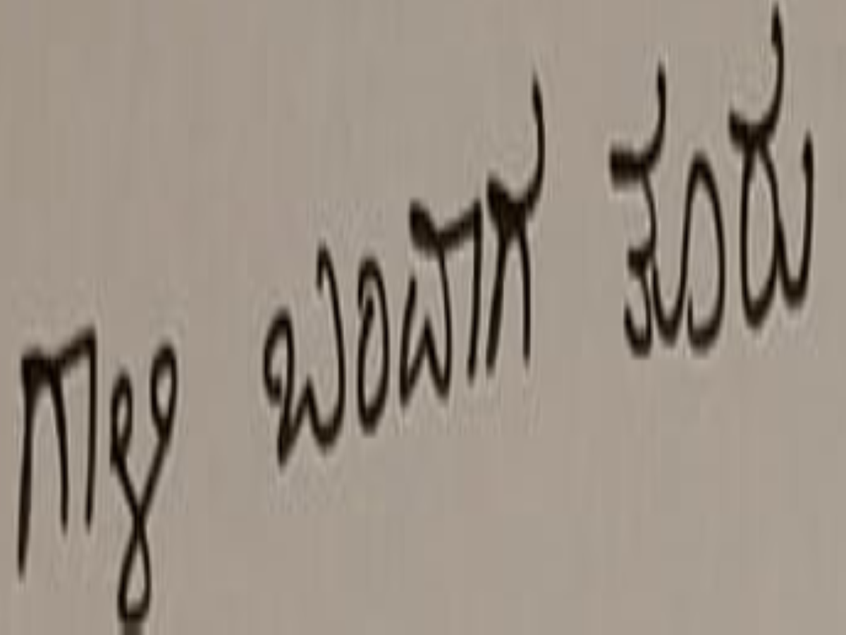 Dump Object Detection Model by Tarun