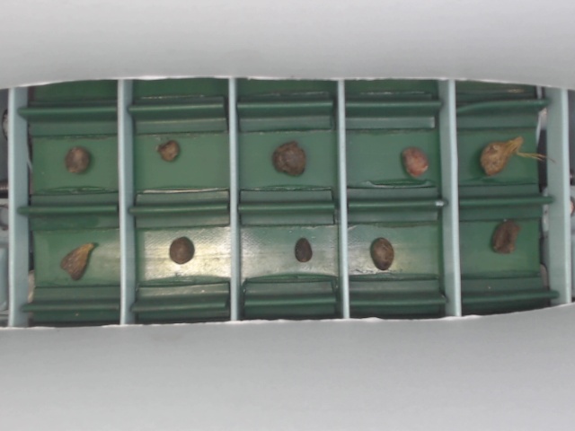 kernel separator Object Detection Dataset by kernel separator