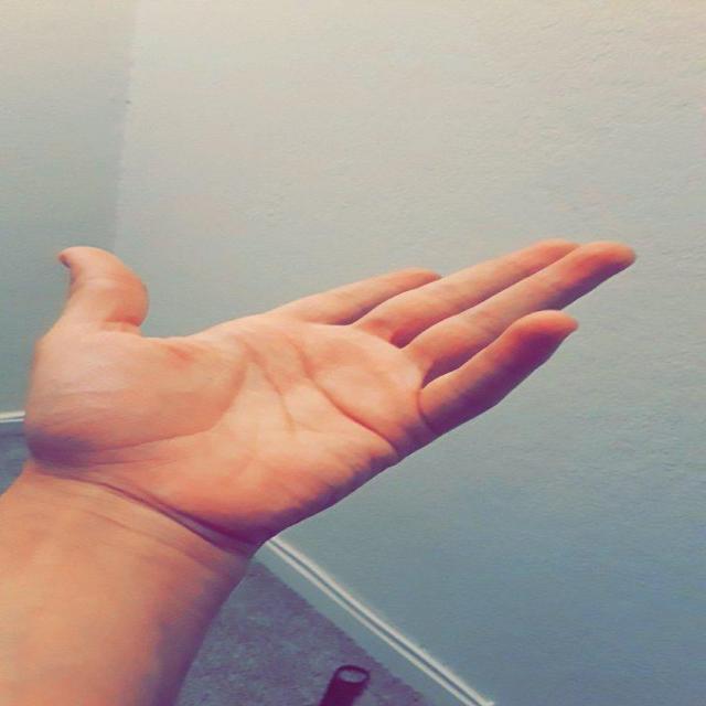 pm Object Detection Dataset and Pre-Trained Model by School