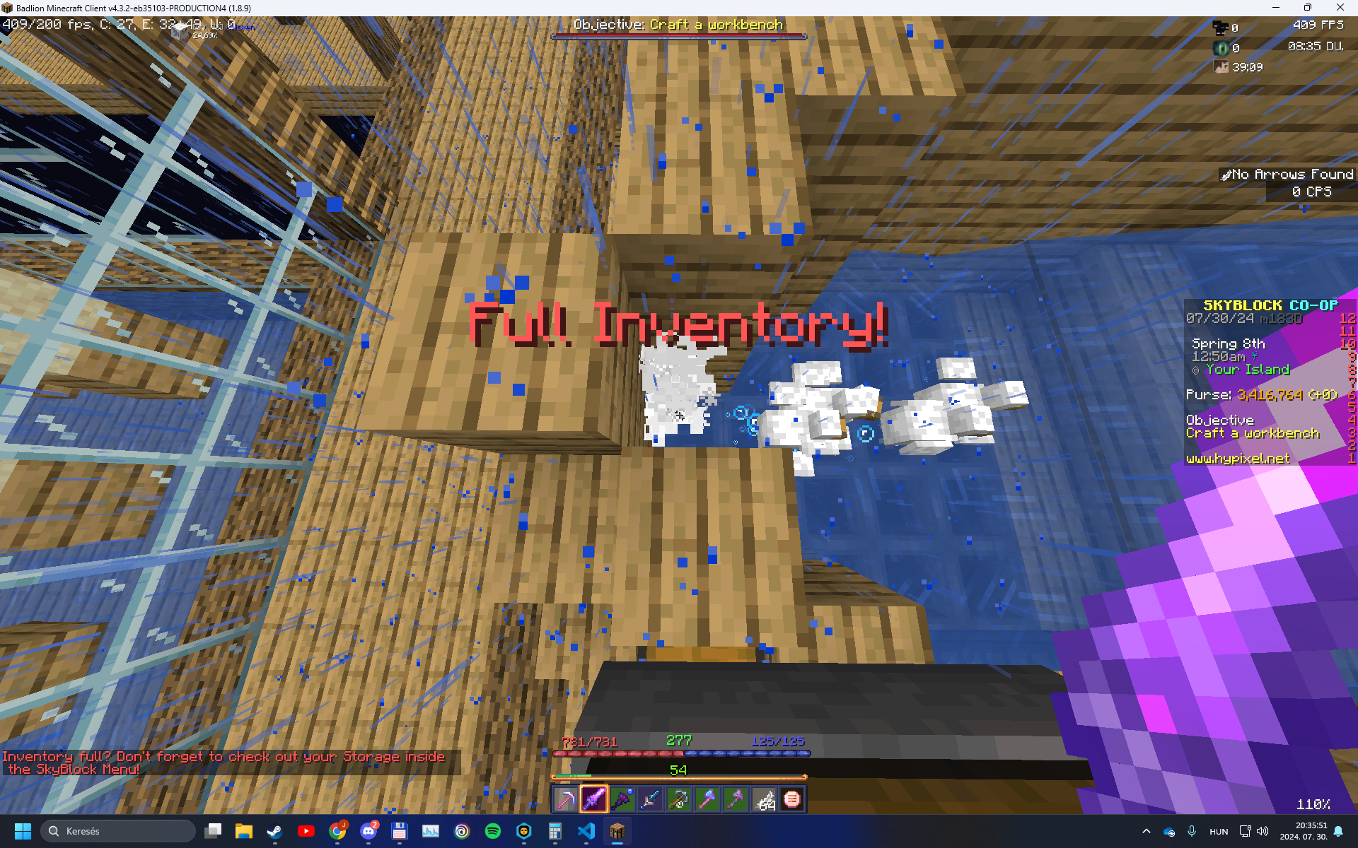 Hypixel Skyblock Object Detection Model by BS