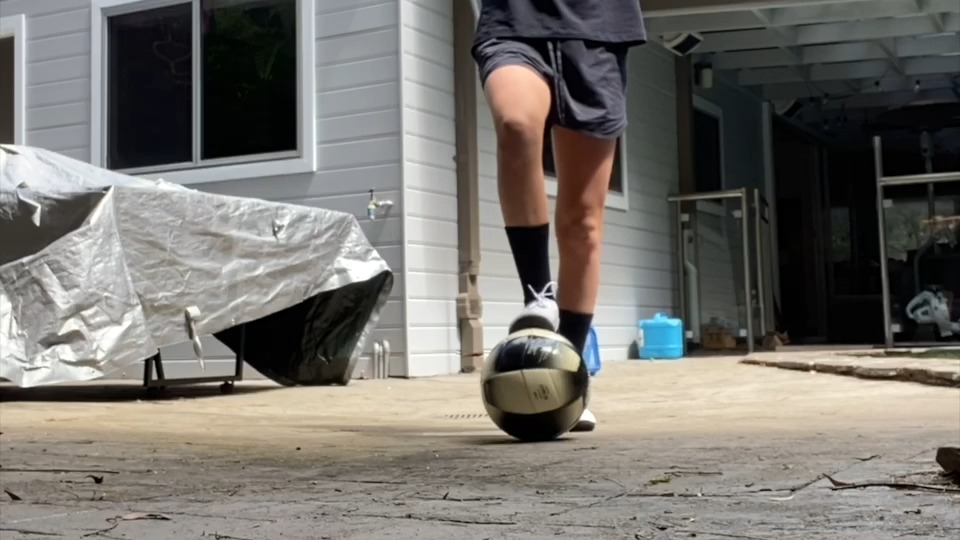 Ellie ball detection Object Detection Dataset by Yolo training