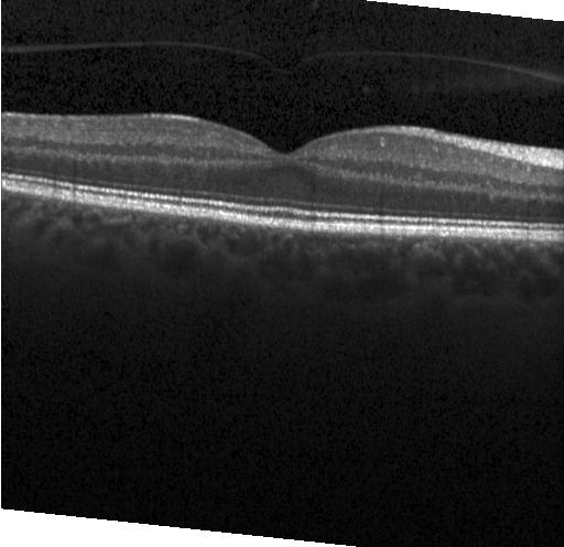 Custom Workflow 2 Multi-label Classification Classification Model by Mousa
