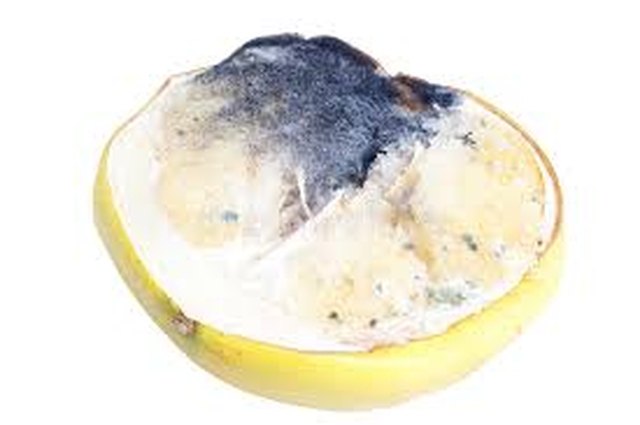 Test Pomelo Object Detection Dataset By Tamnguyen