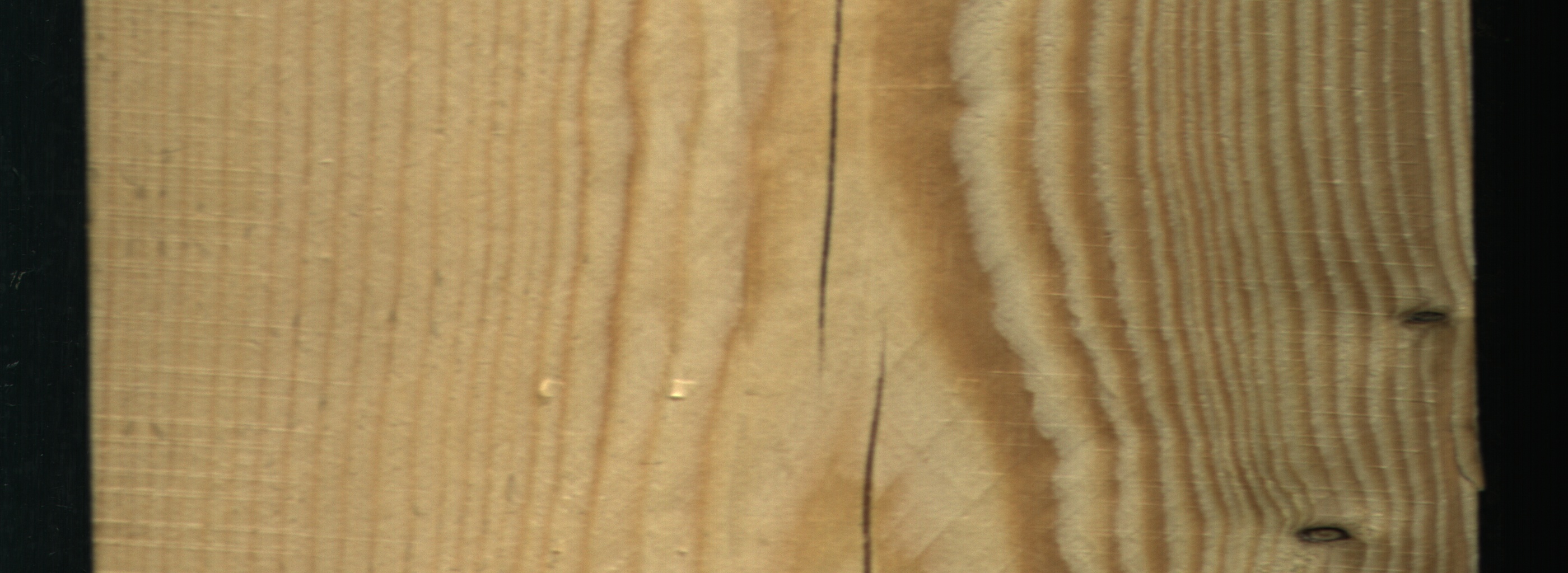 WOOD Object Detection Model by srm