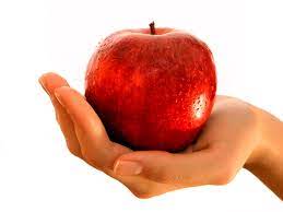 Apple detection Object Detection Dataset and Pre-Trained Model by Robowelt