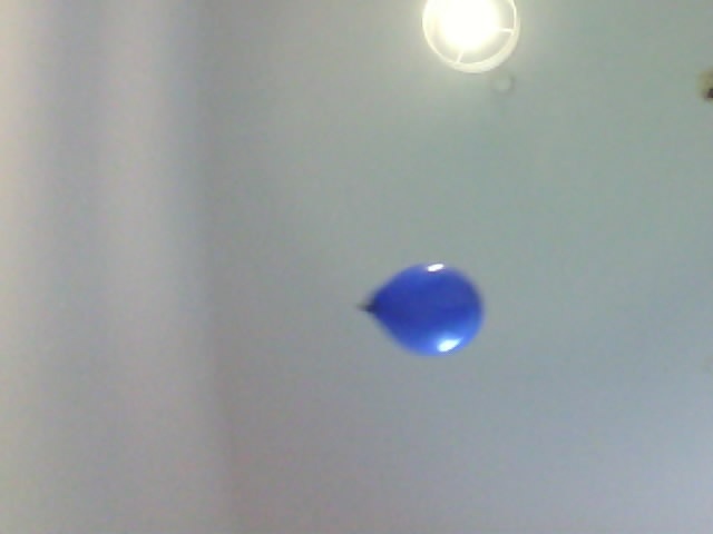 Balloon Detection Object Detection Dataset And Pre Trained Model By