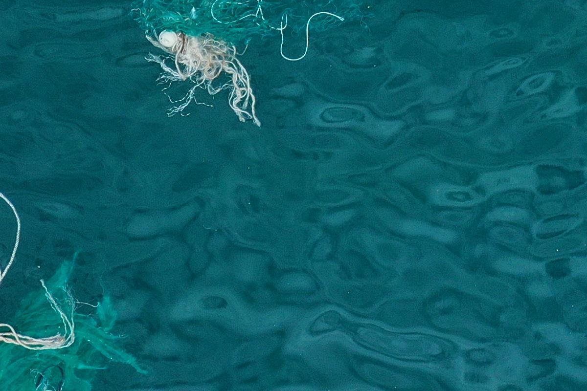 Pp Object Detection Dataset And Pre Trained Model By Project Zzqjq