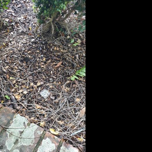 TACO YOLOv4-Tiny Object Detection Dataset and Pre-Trained Model by PRMSU